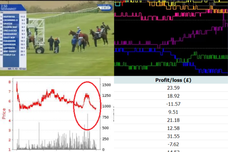 The Most Reliable Edge in Betfair Trading?