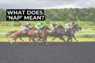 What Does NAP Mean in Horse Racing? | Is It Actually Profitable?