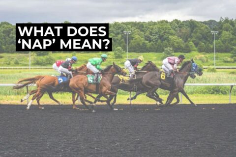 What Does NAP Mean in Horse Racing? | Is It Actually Profitable?