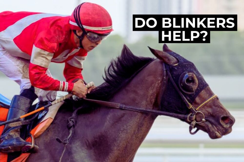 Blinkers in Horse Racing Explained (First-Time Blinkers & Betting Value)