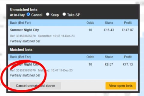 Betfair Exchange Review 2026: Is It Still the Best Platform for Trading?